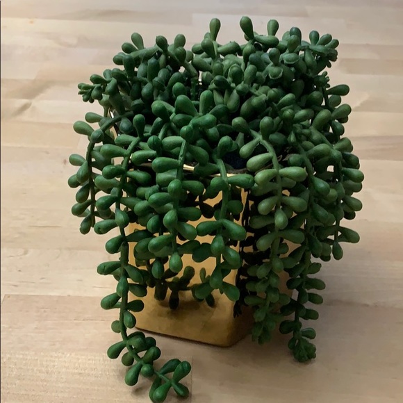 Project 62 | Accents | Project 62 Artificial House Plant From Target ...